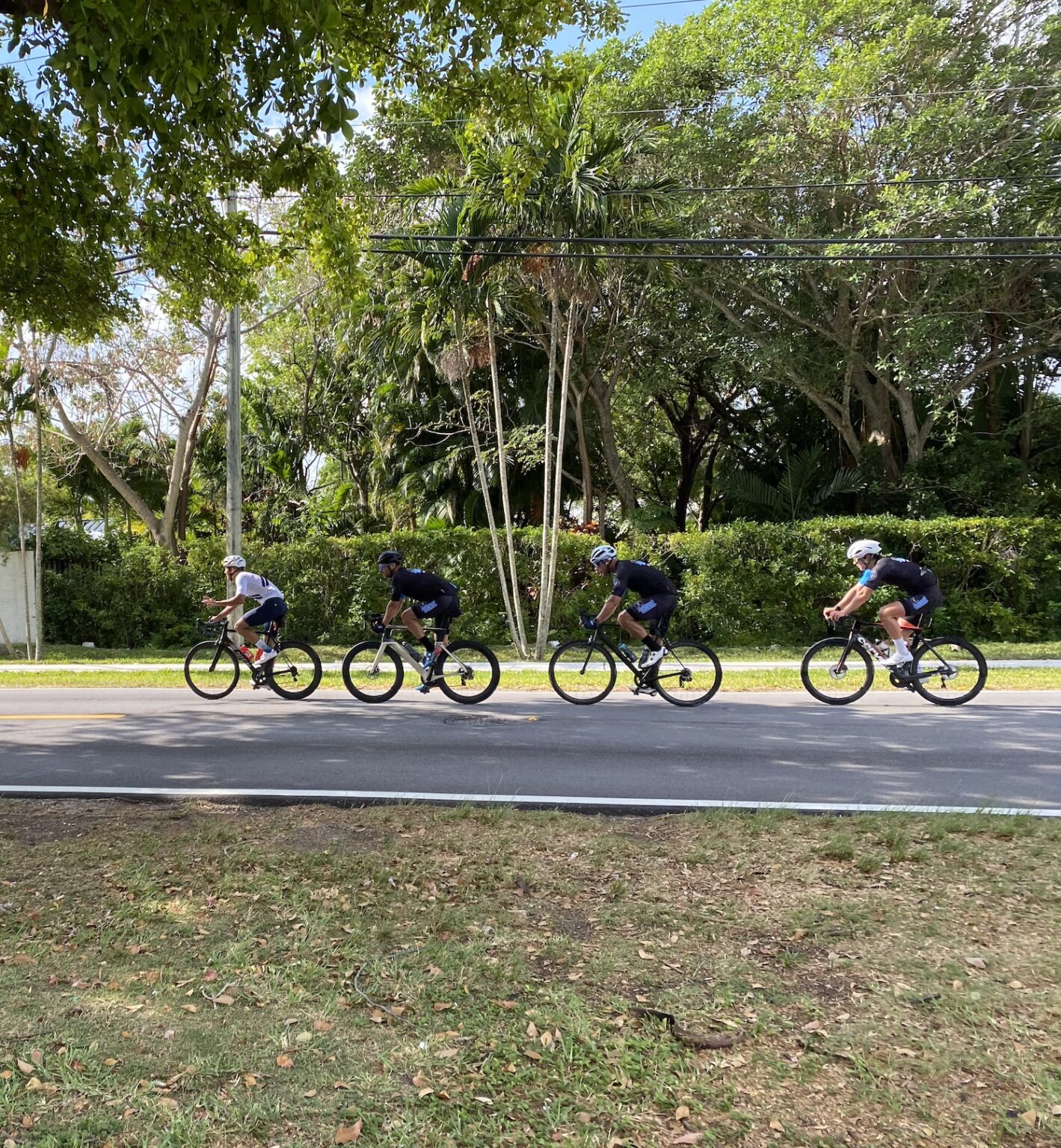 Palmetto Bay's Multi-Modal Transportation Master Plan Update